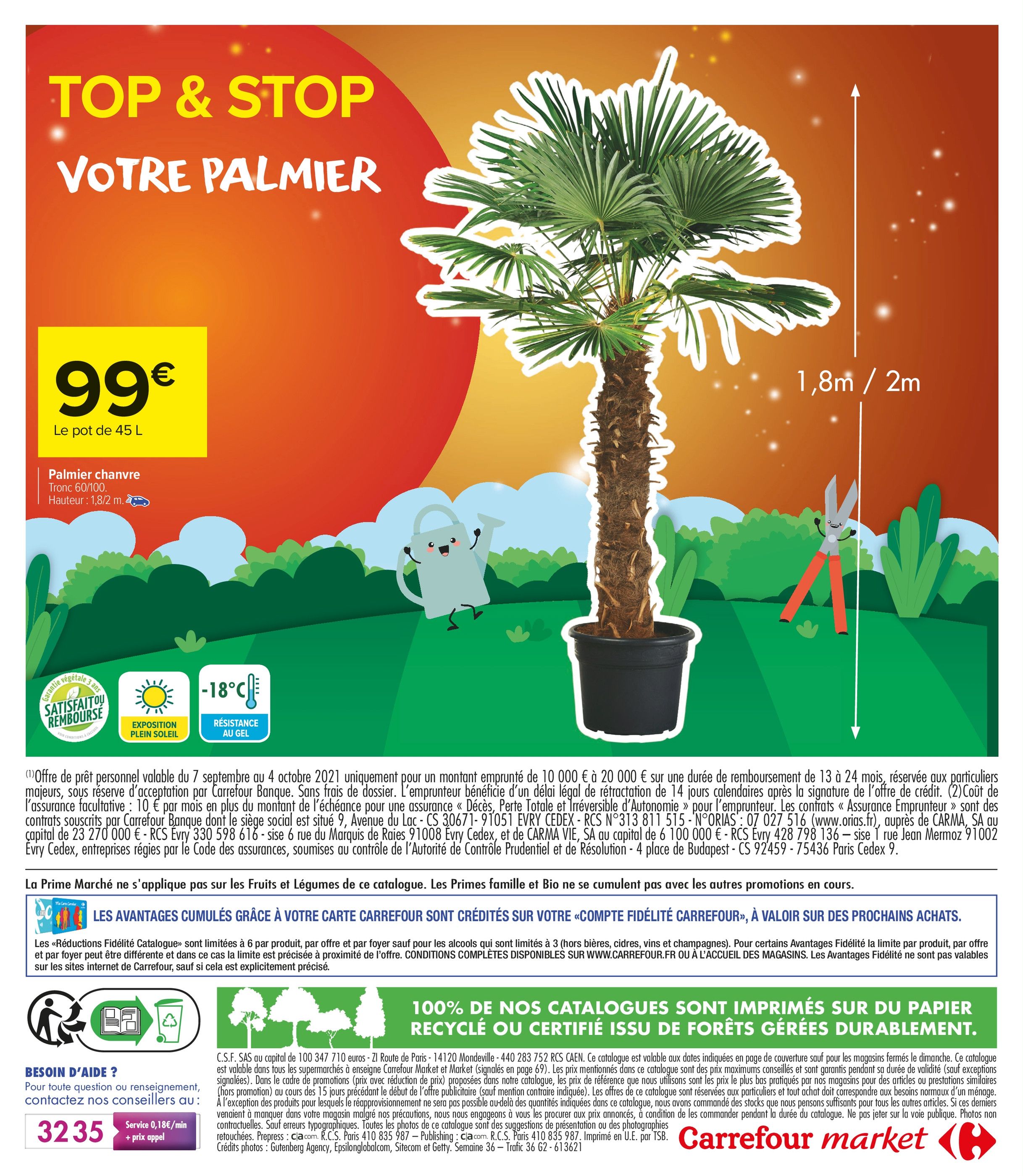 Palmier Brico Dépôt - Promo et prix dans le catalogue du moment