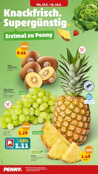 Penny Prospekt » Angebote der Woche online blättern