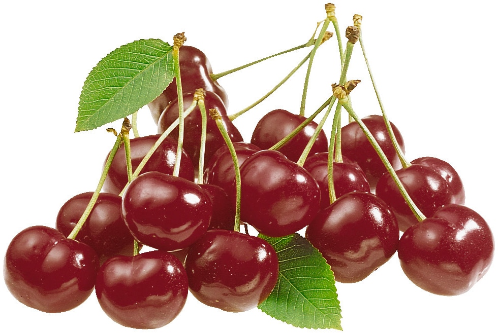 Kirschen kaufen - günstige Angebote für Kirschen